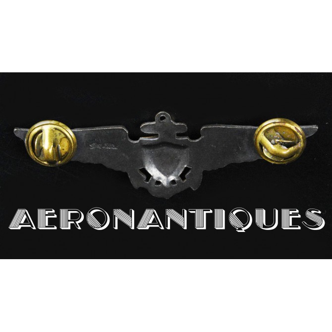 naval aviator wings;naval aviation wings;wings of gold;us navy wings;us ...